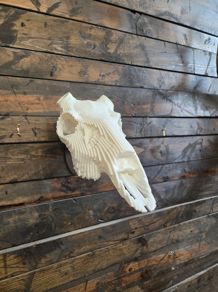 TOPO SKULLS