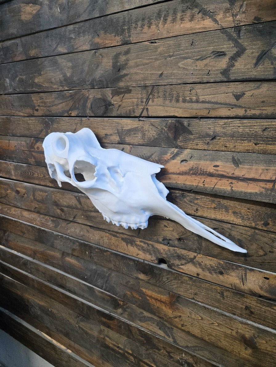 TOPO SKULLS